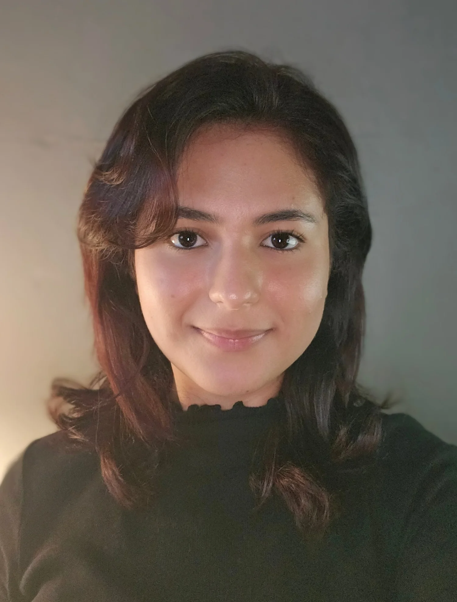 We partner with you. -Dimensions Collaborative School