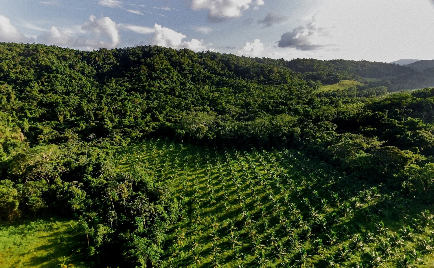 Silk Grass Farms, Belize