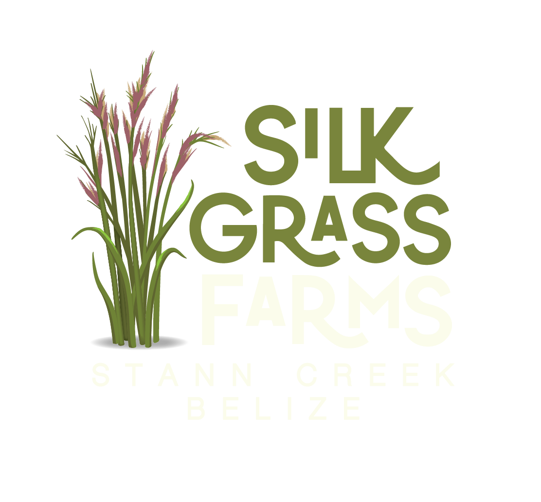 Silk Grass Farms, Belize