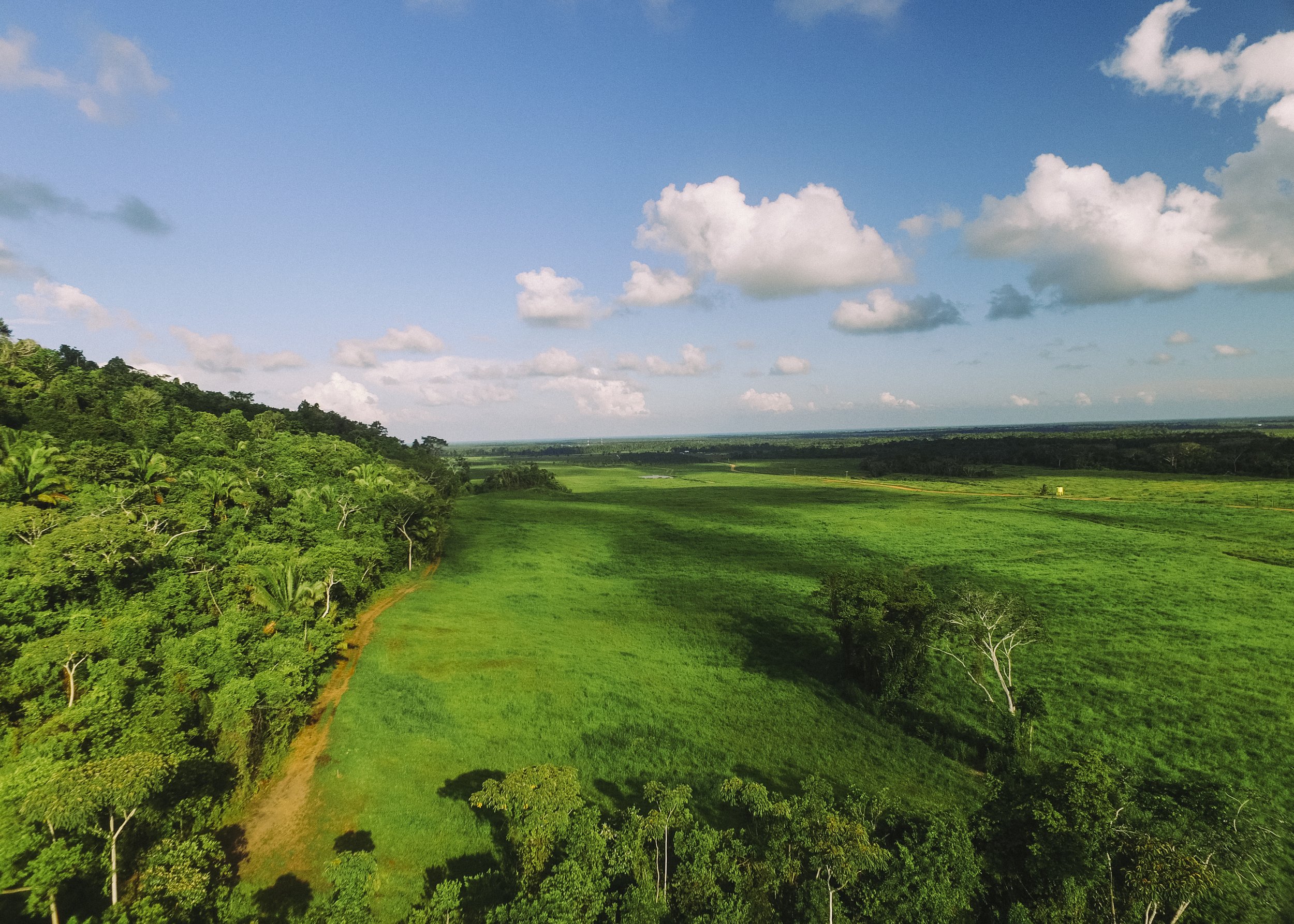 Silk Grass Farms, Belize