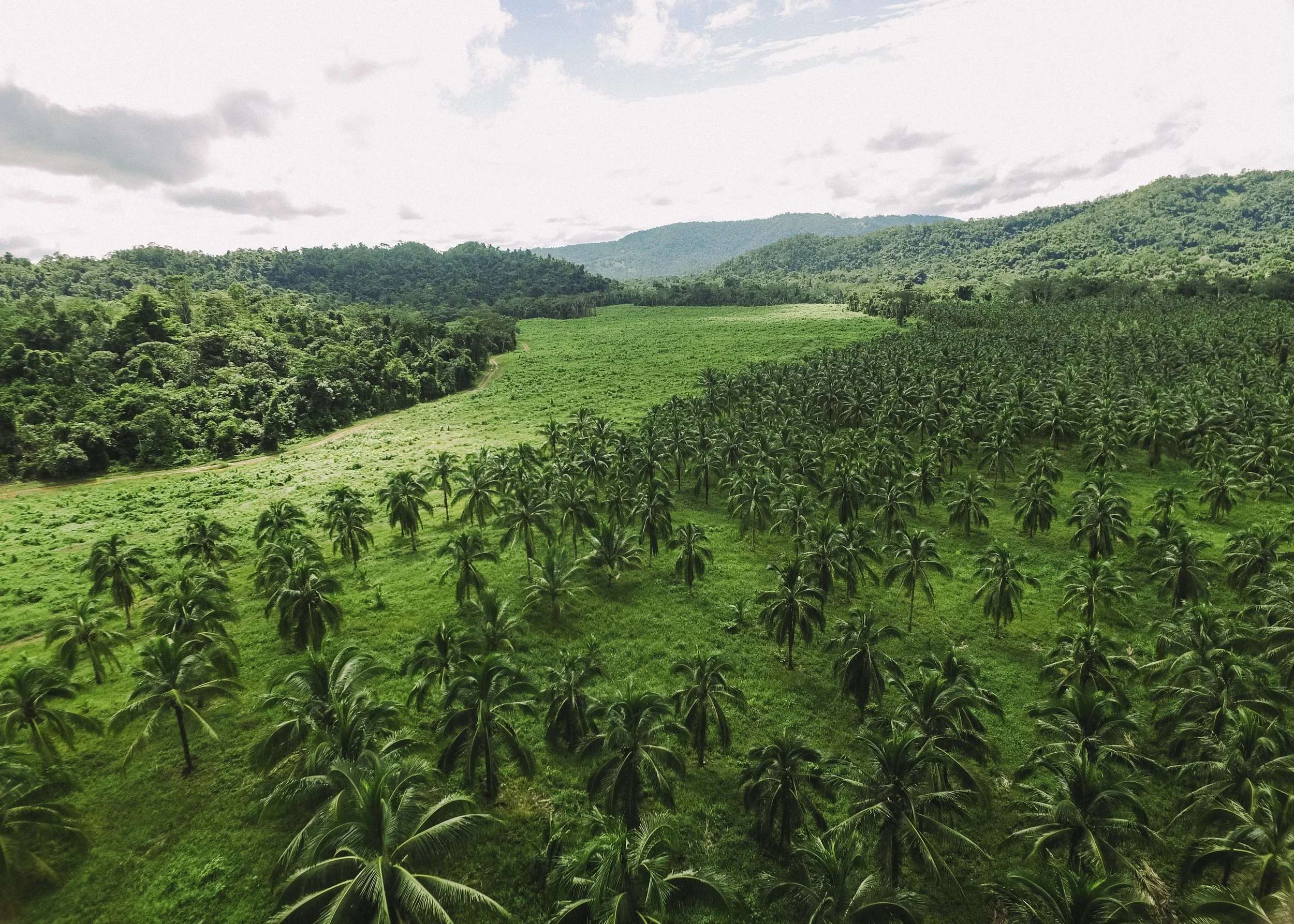 Silk Grass Farms, Belize
