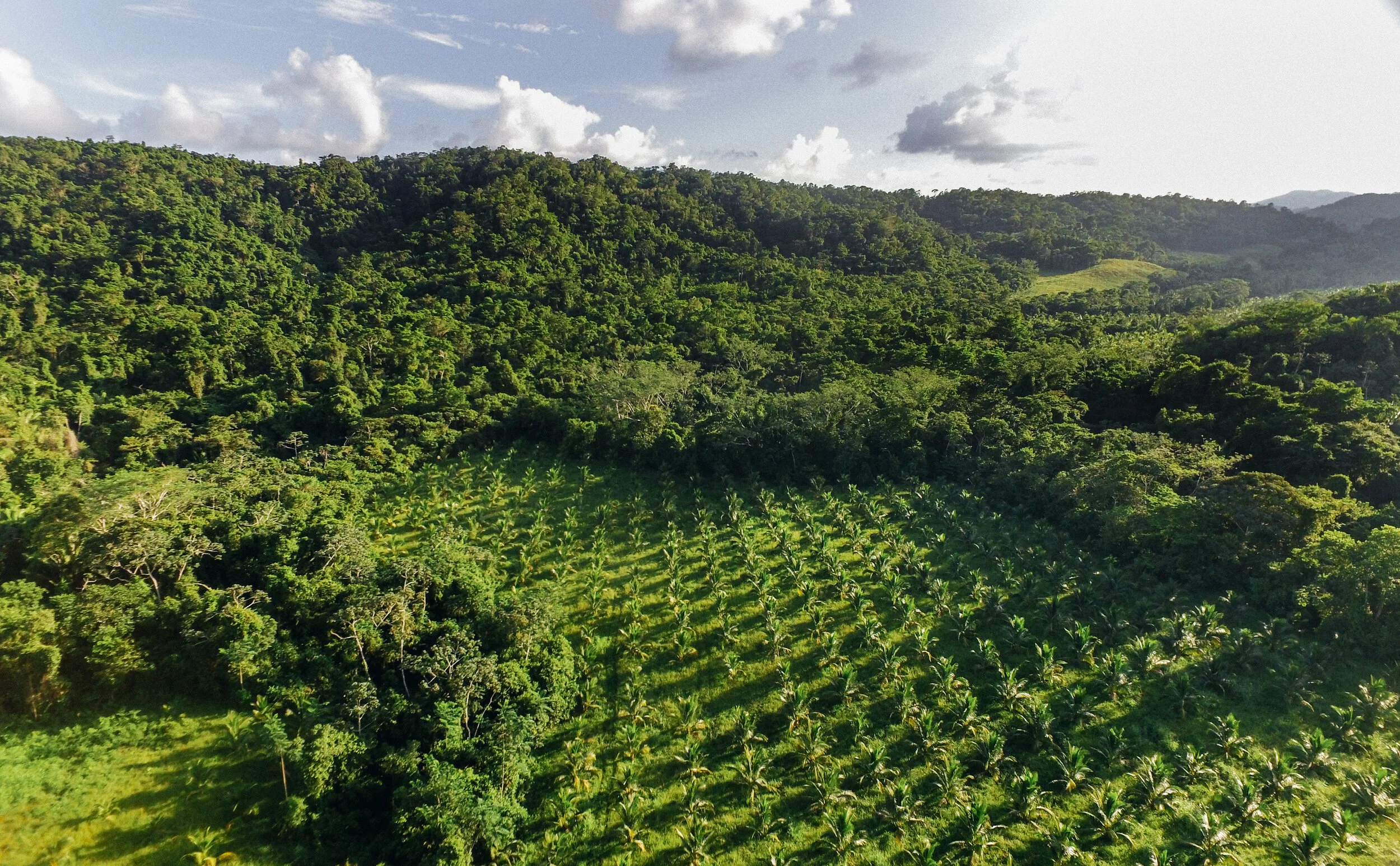 Silk Grass Farms, Belize