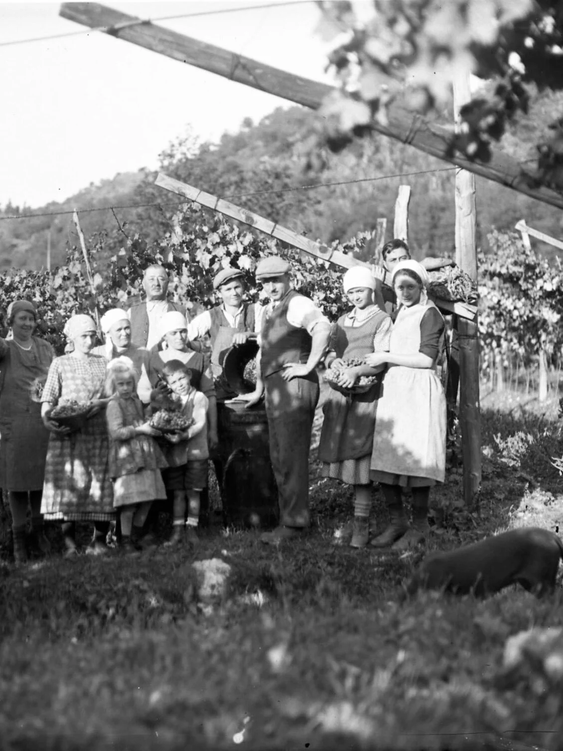 History — Baron Longo