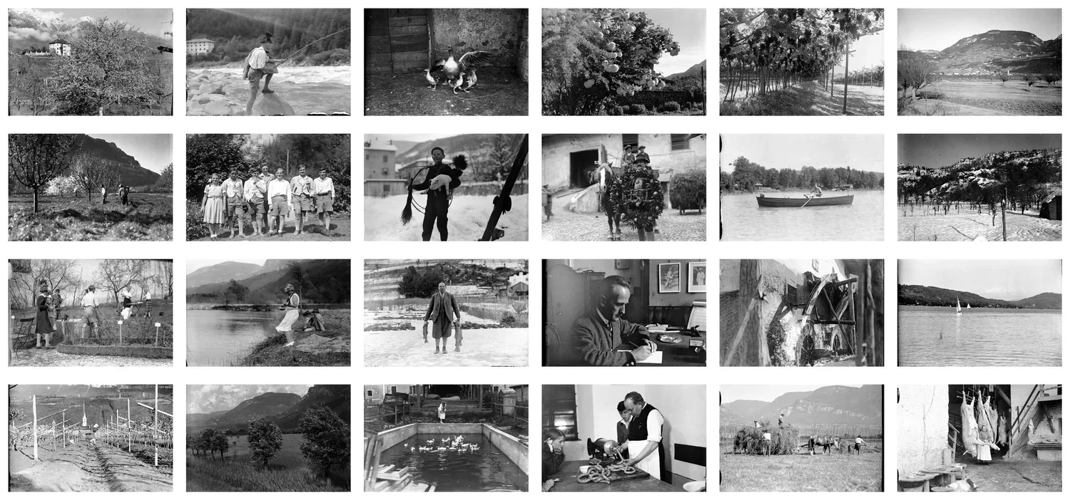 Baron Longo | Historic Family Winery in the Dolomites