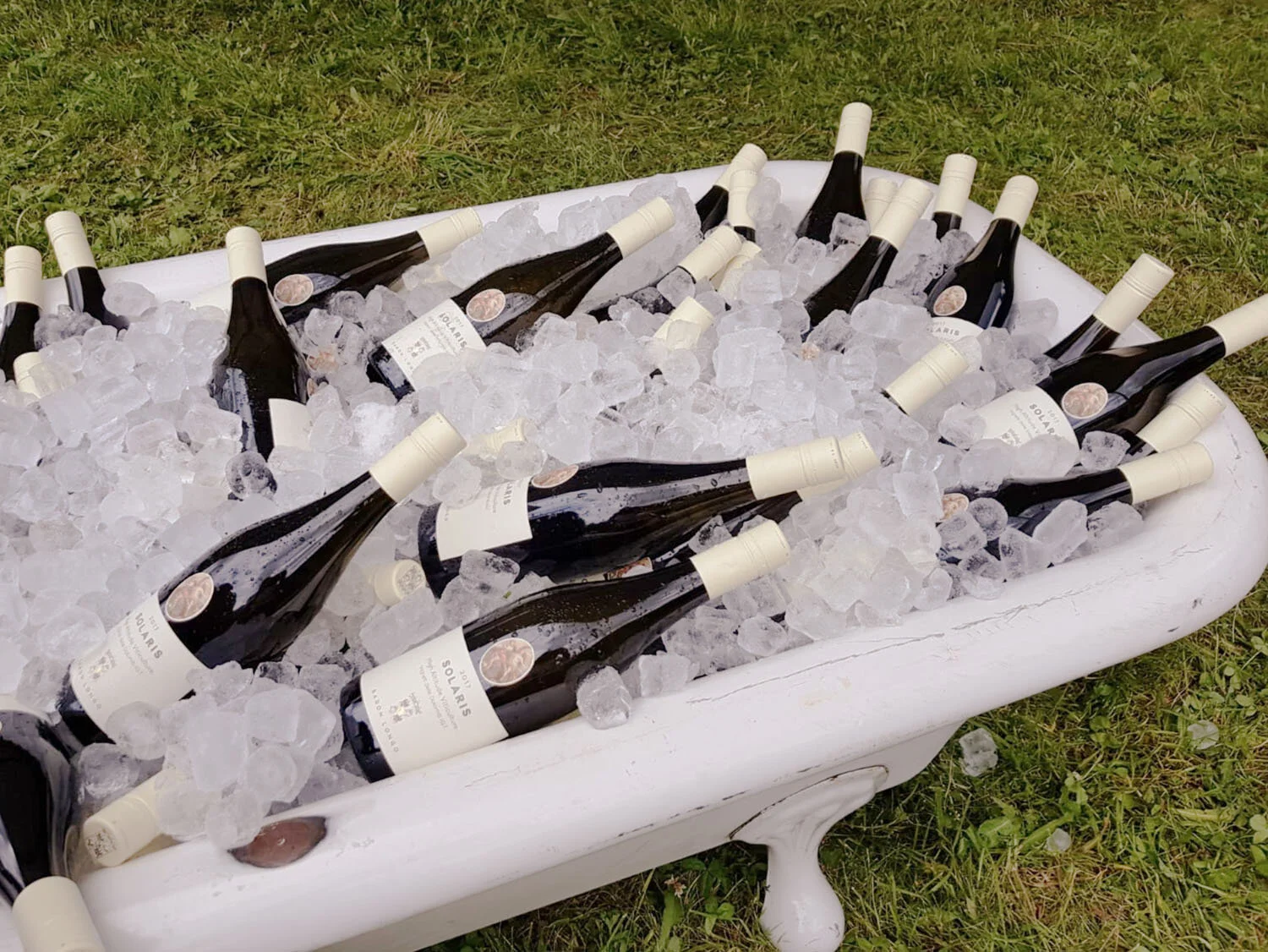 Experience — Baron Longo