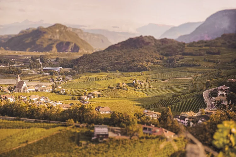 Baron Longo | Historic Family Winery in the Dolomites