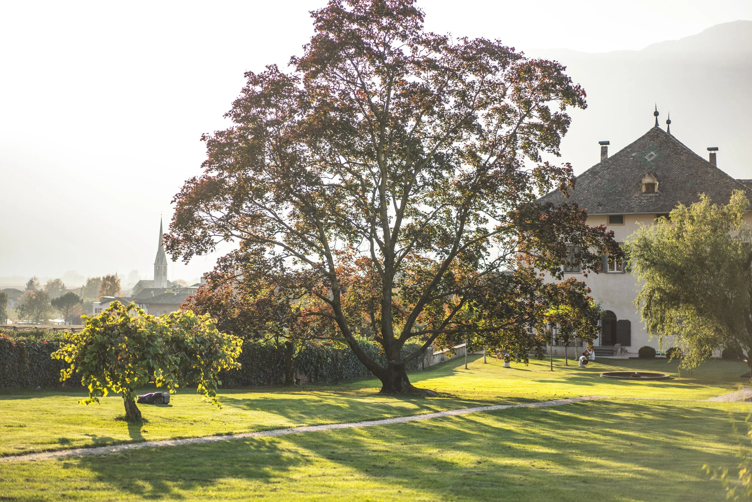 Experience — Baron Longo