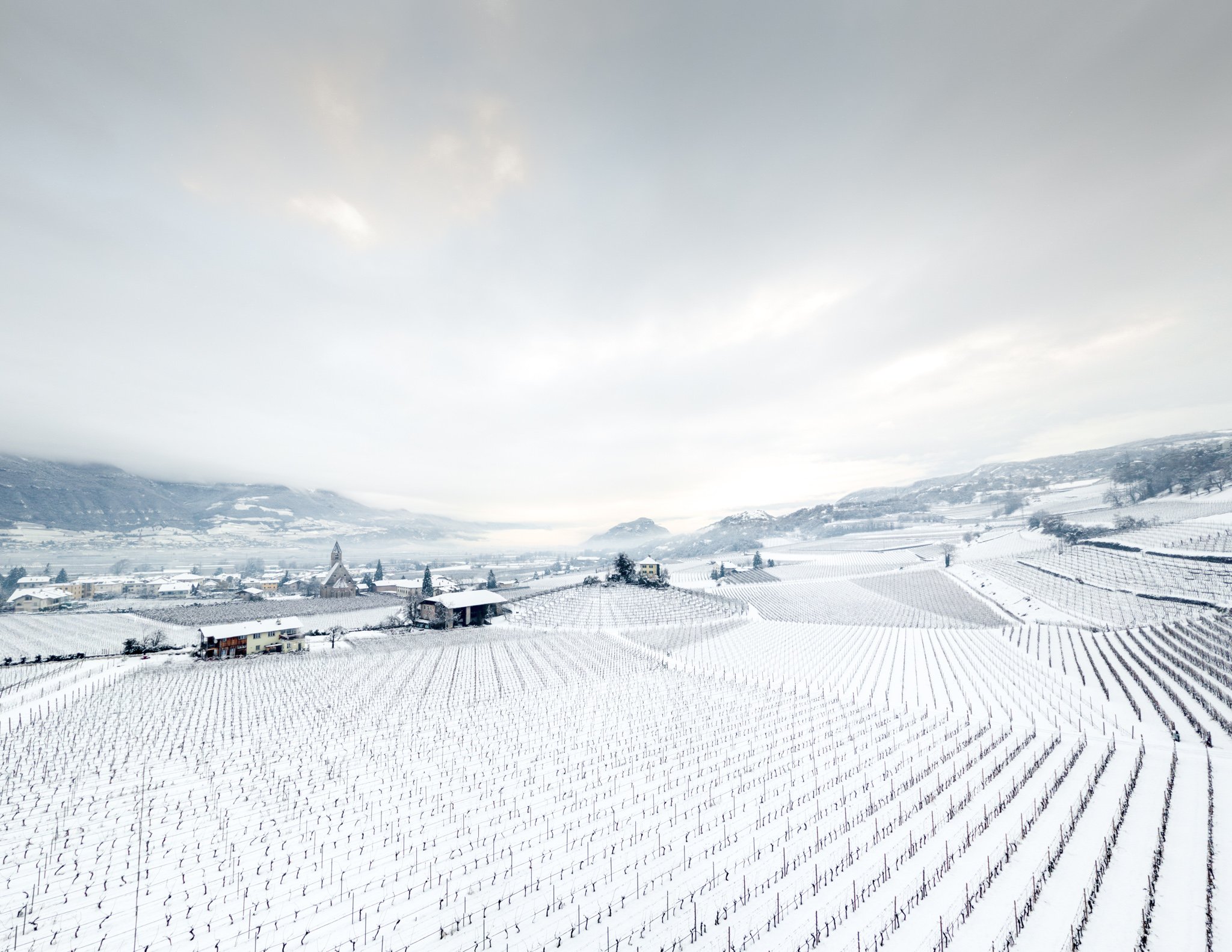 Baron Longo | Historic Family Winery in the Dolomites