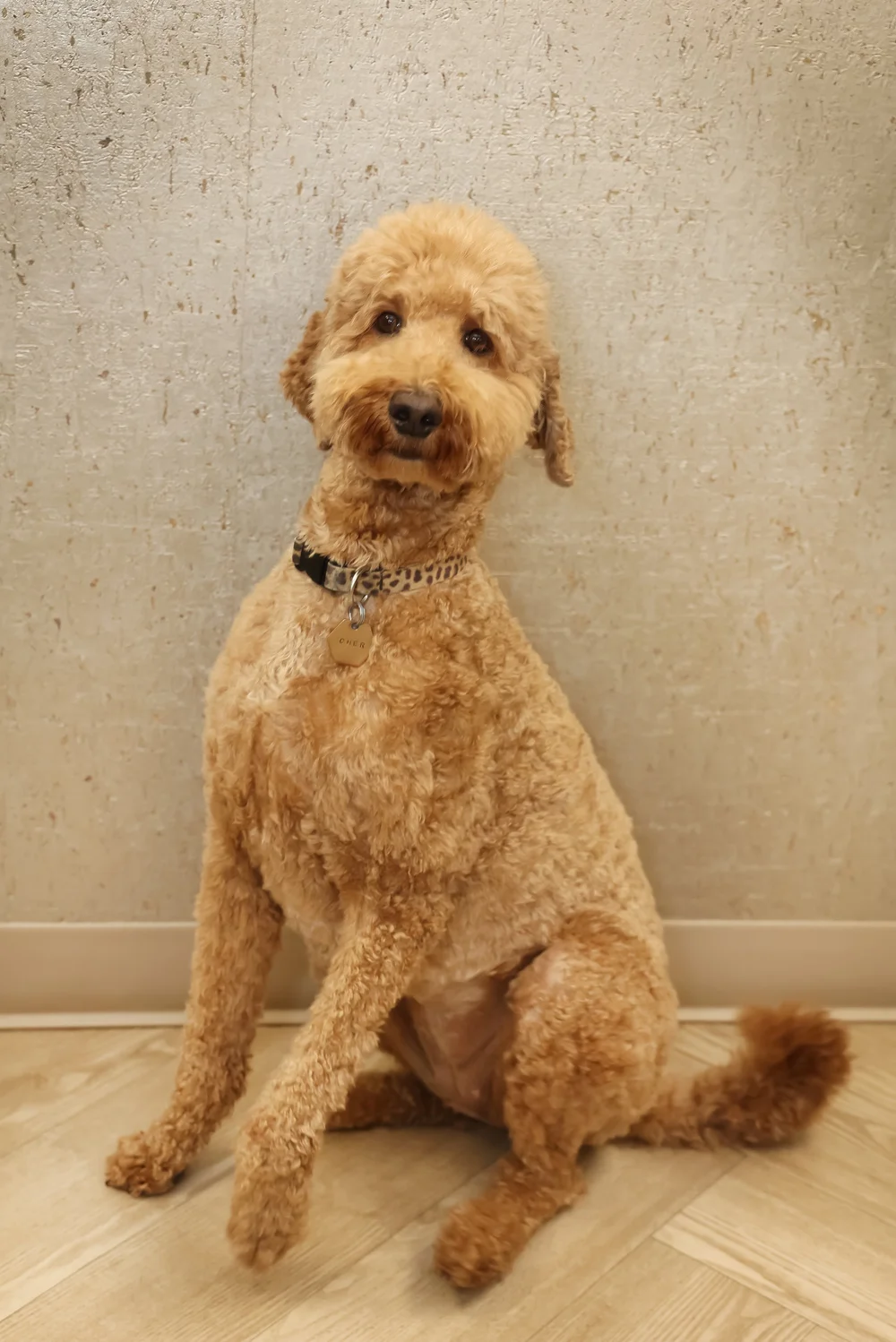 Meet the Jerdan Dermatology Staff — Jerdan Dermatology & Laser Institute