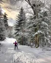 Ouray's Winter Activities — Visit Ouray