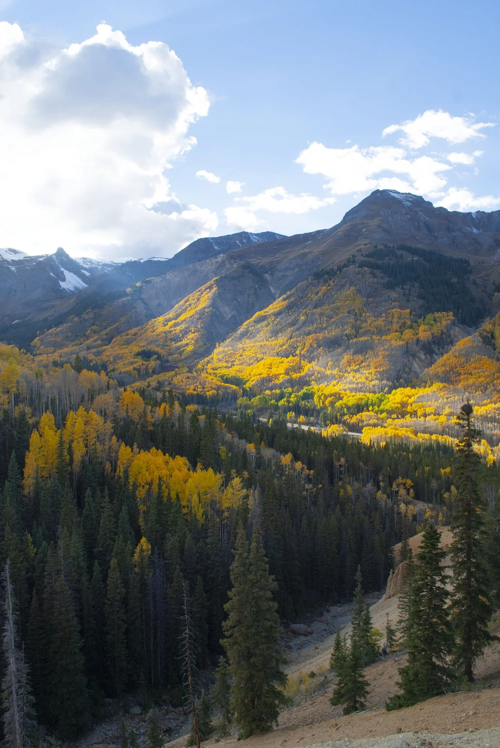 Summer in Ouray, Colorado — Visit Ouray Colorado - Homepage
