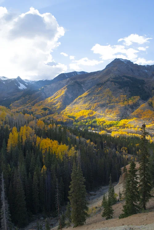 Summer in Ouray, Colorado — Visit Ouray Colorado - Homepage