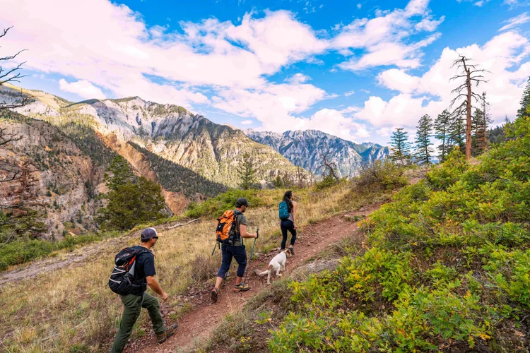 Hiking in Ouray — Visit Ouray Colorado - Homepage