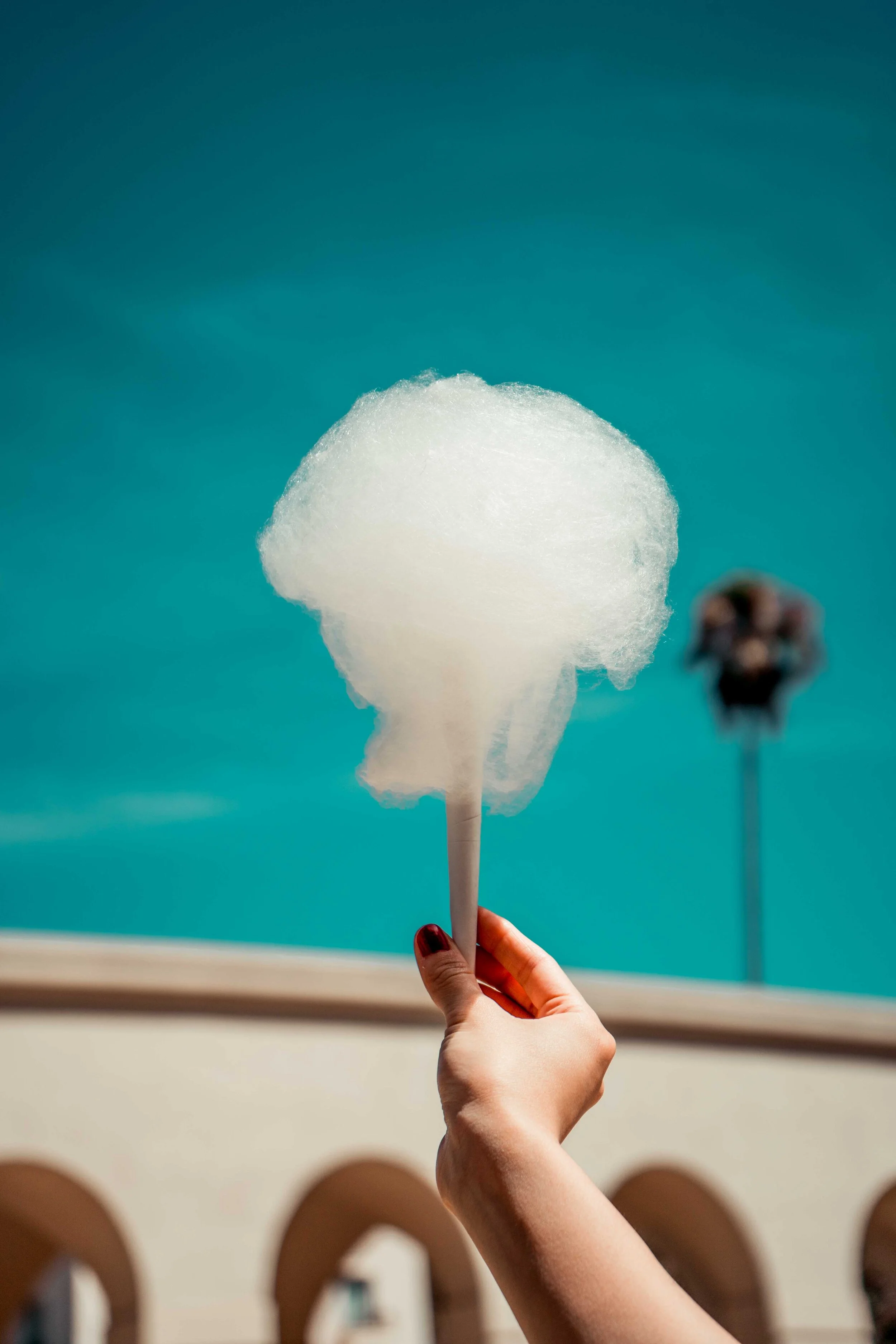 About Us | Discover Joyful Experiences | The Jolly Sheep