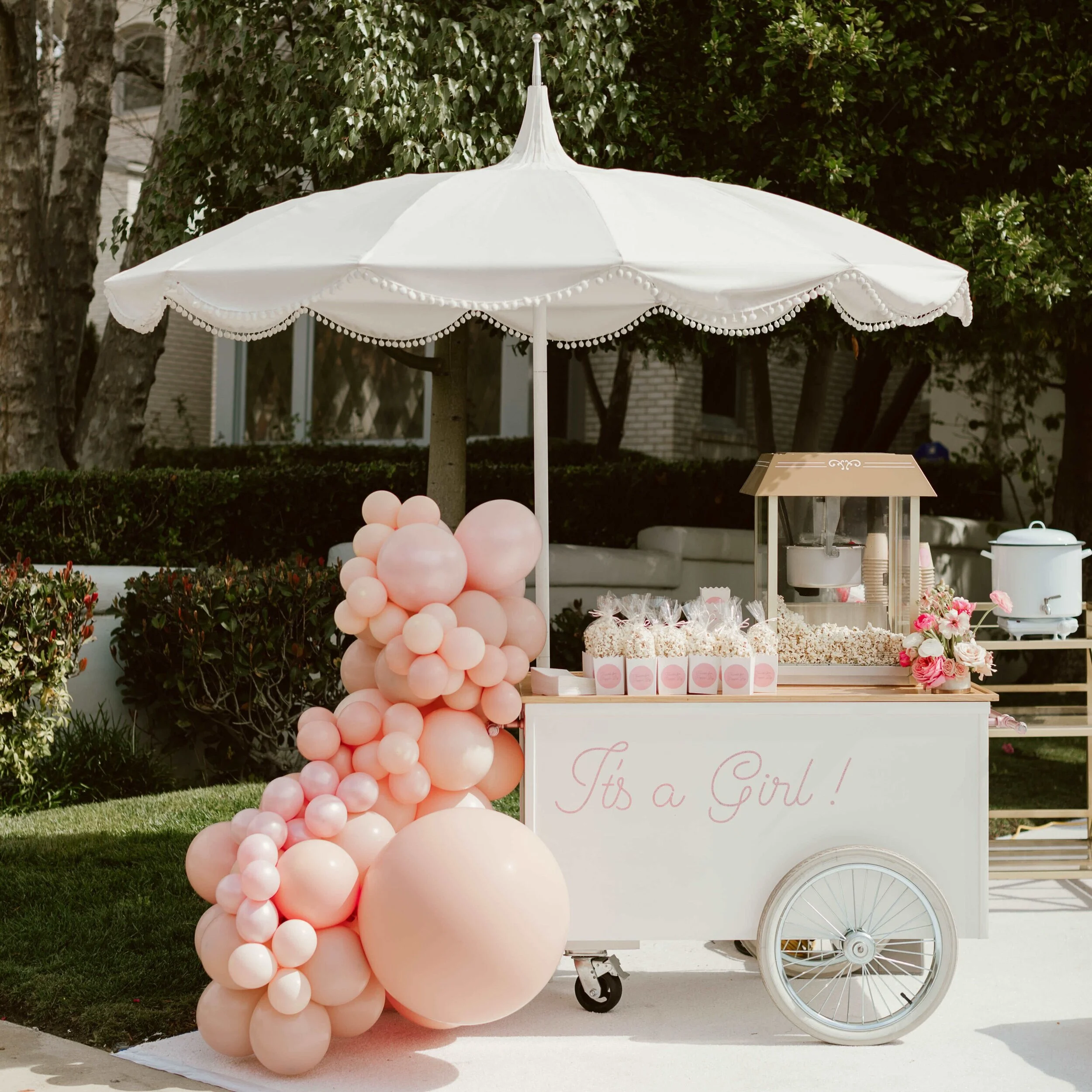 About Us | Discover Joyful Experiences | The Jolly Sheep