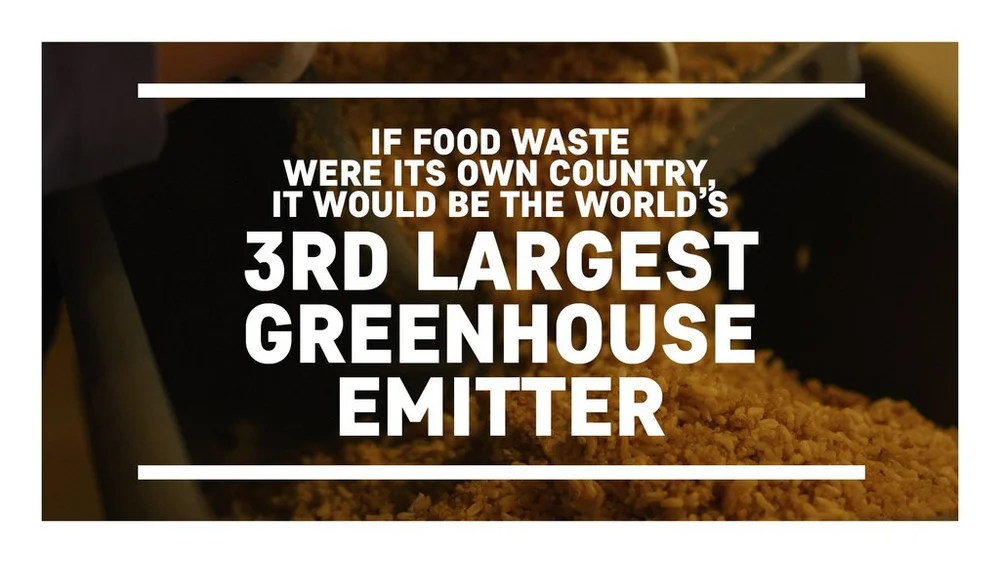 Where Does It Go? FOOD WASTE — Changing Tides Foundation