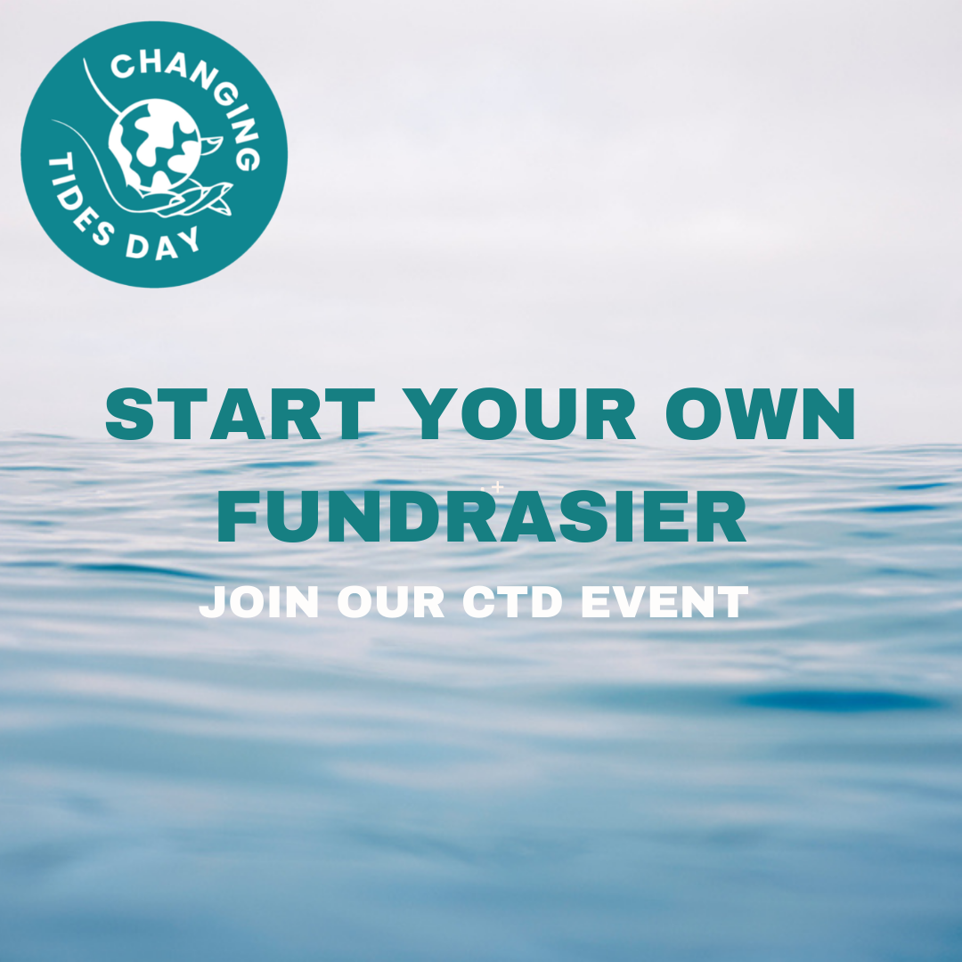 Changing Tides Day 2021 — Changing Tides Foundation