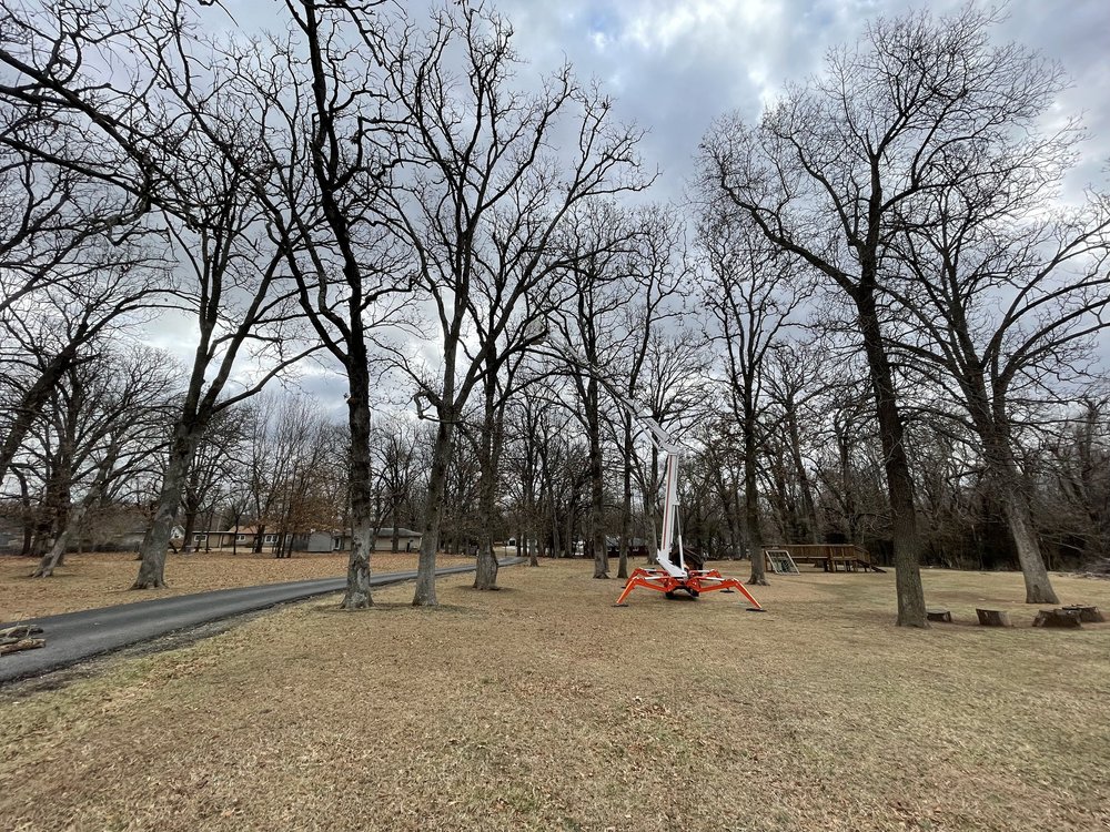 Tree Service Company - Certified Tree Tech LLC — TREE TECH LLC