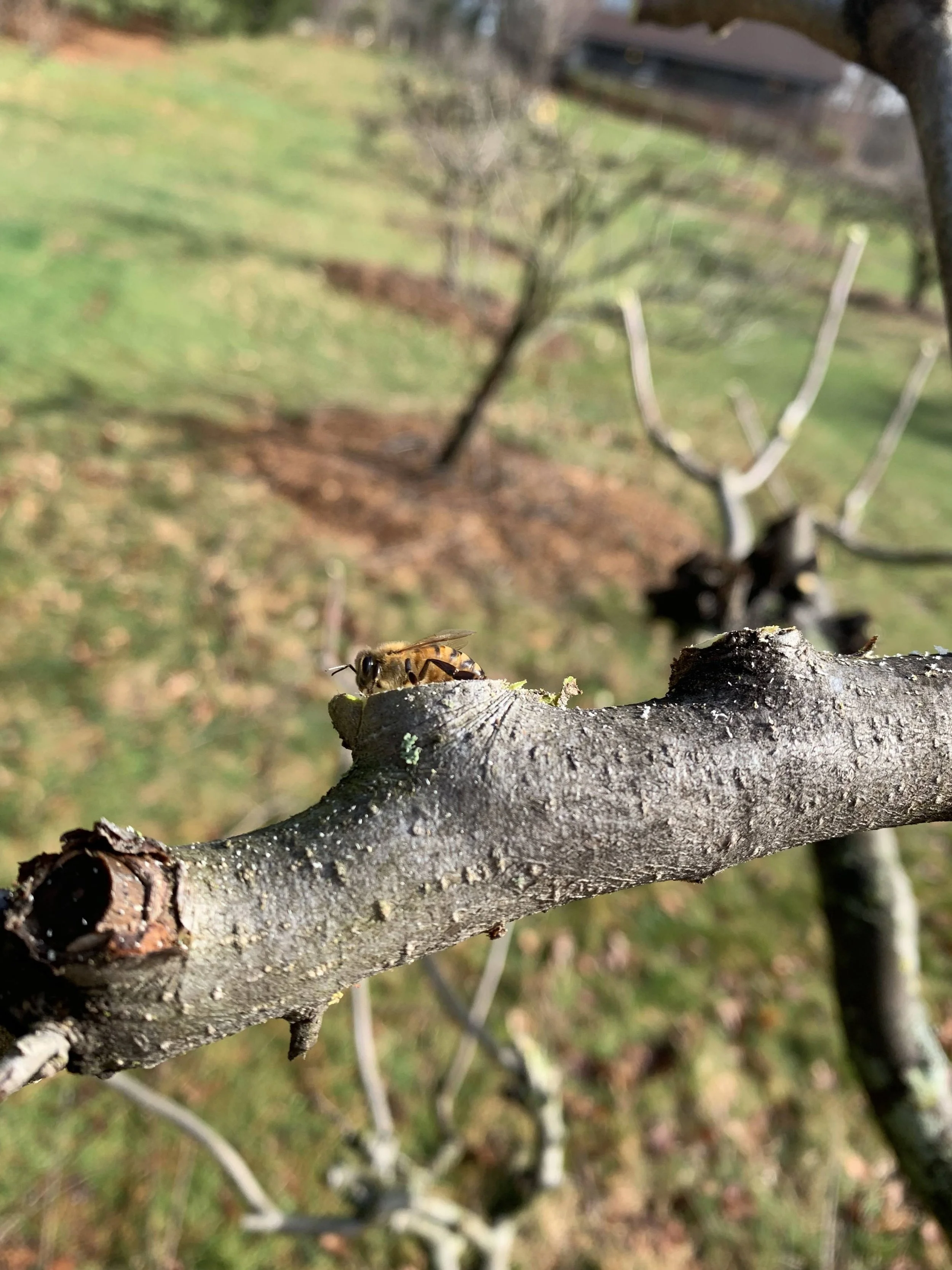 Learn — Closter Farm