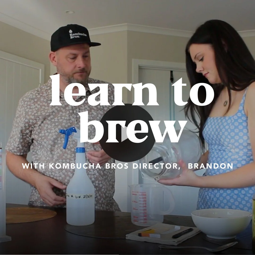Ultimate Kombucha Brewing Guide: Step-by-Step Instructions & Tips — Kombucha Bros New Zealand