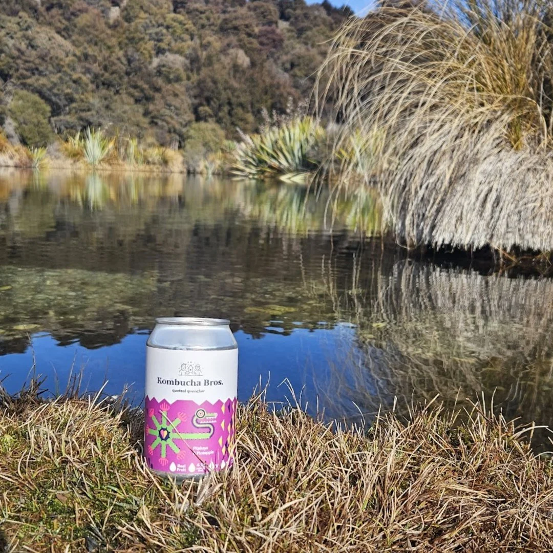 Mix Pack - 12 Cans Non-Alcoholic Kombucha — Kombucha Bros New Zealand