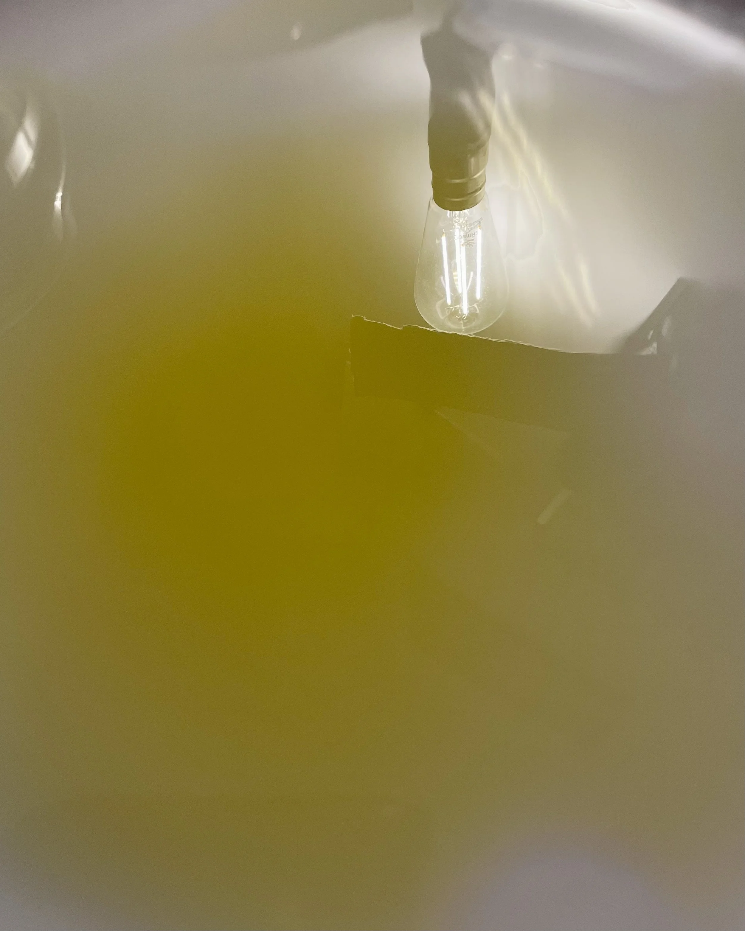 Olfactory Art Keller