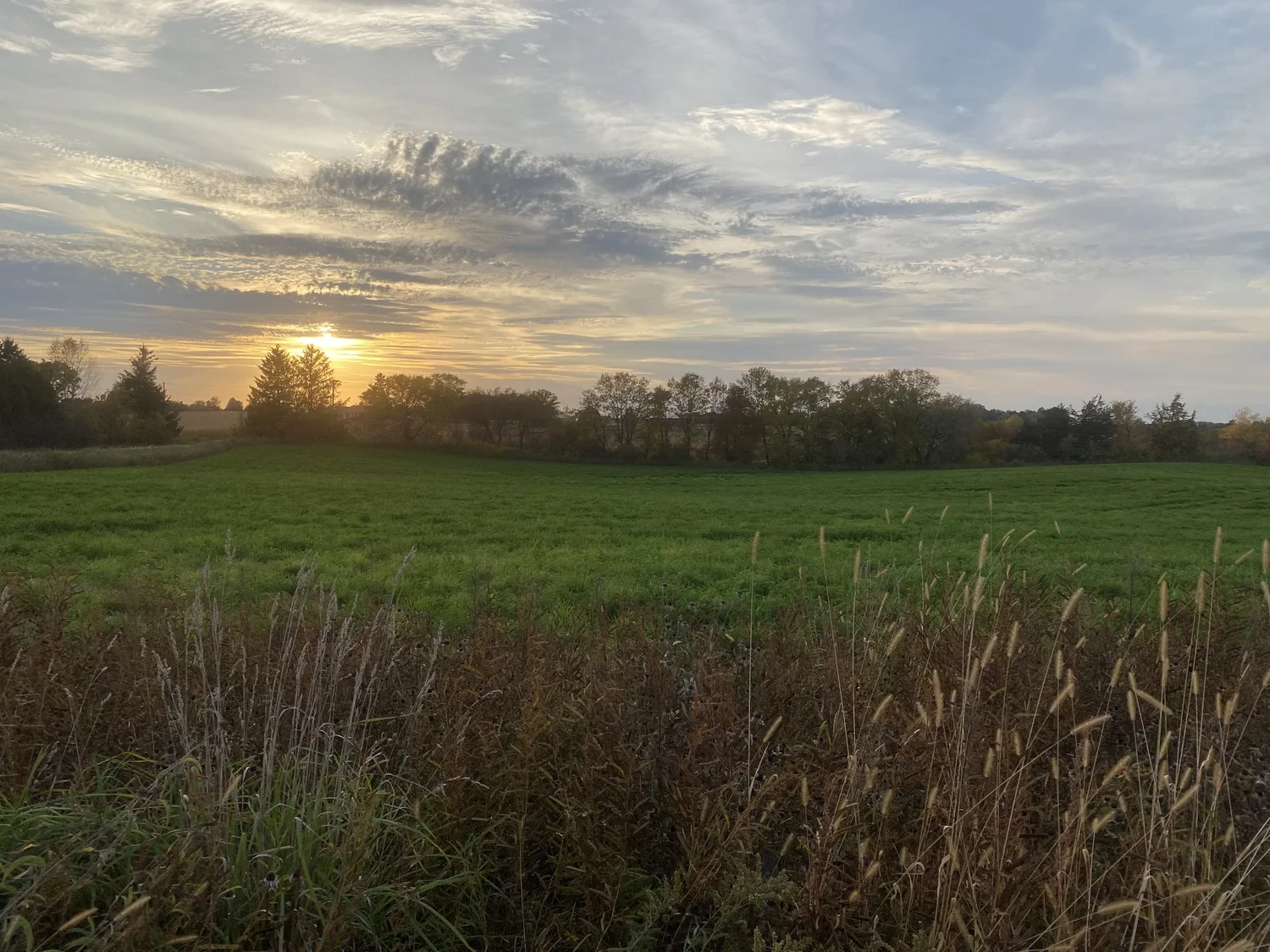 Boos Lake Farm Store — Boos Lake Farm