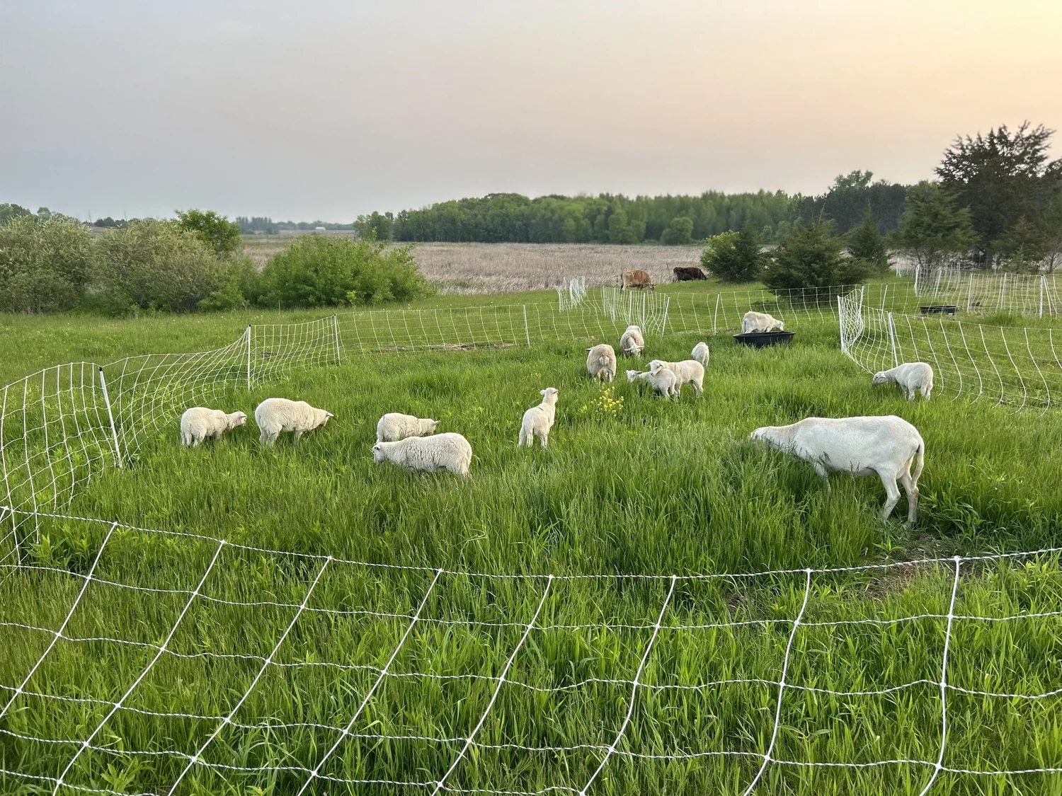 Boos Lake Farm