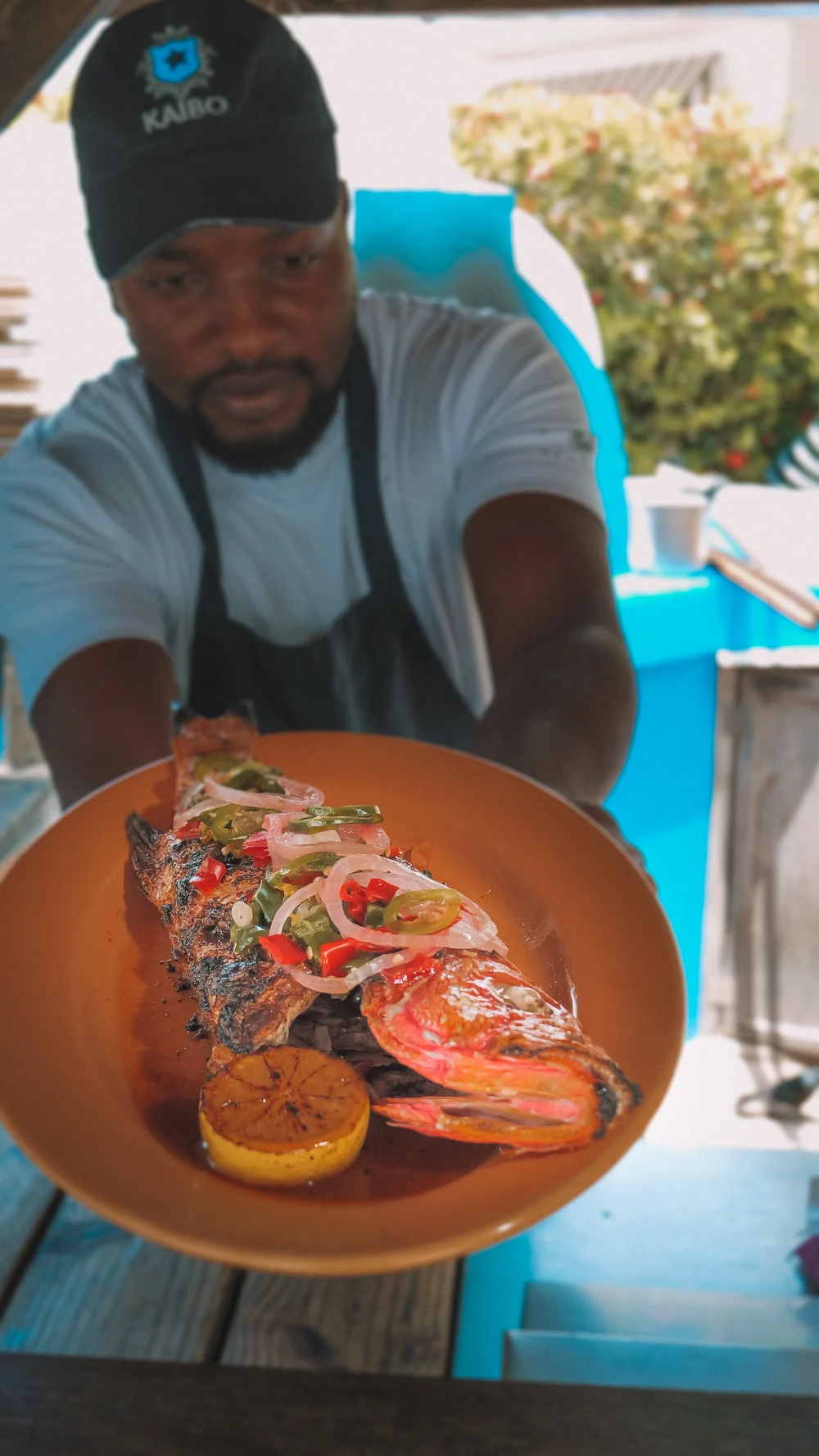 Kaibo — Nauti Nomads