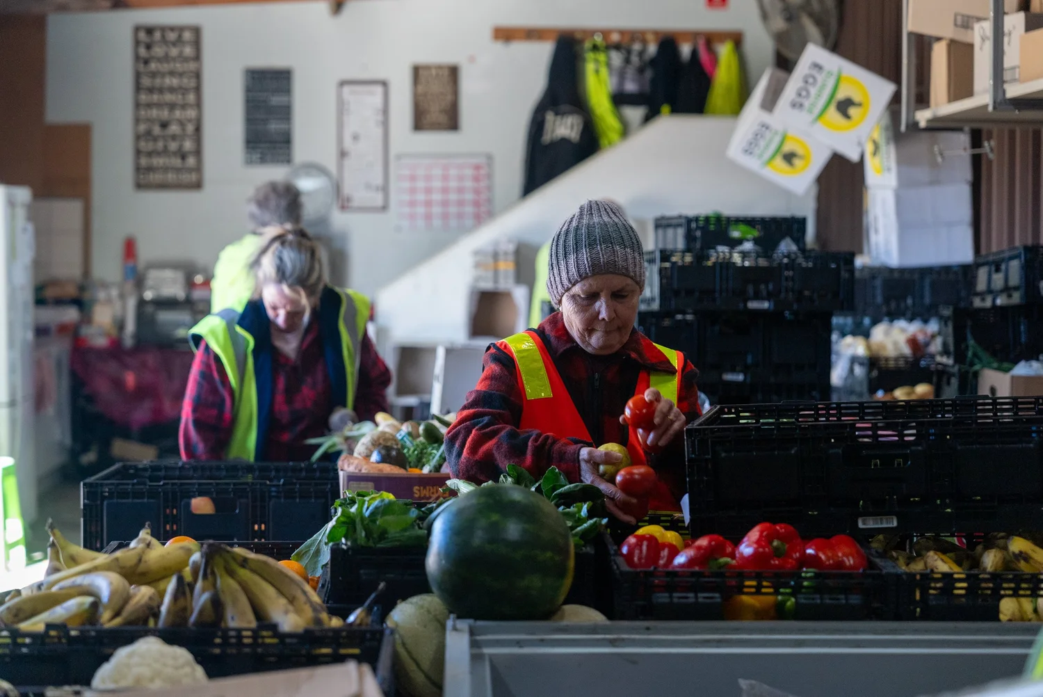 How We Can Help — Helping Hands