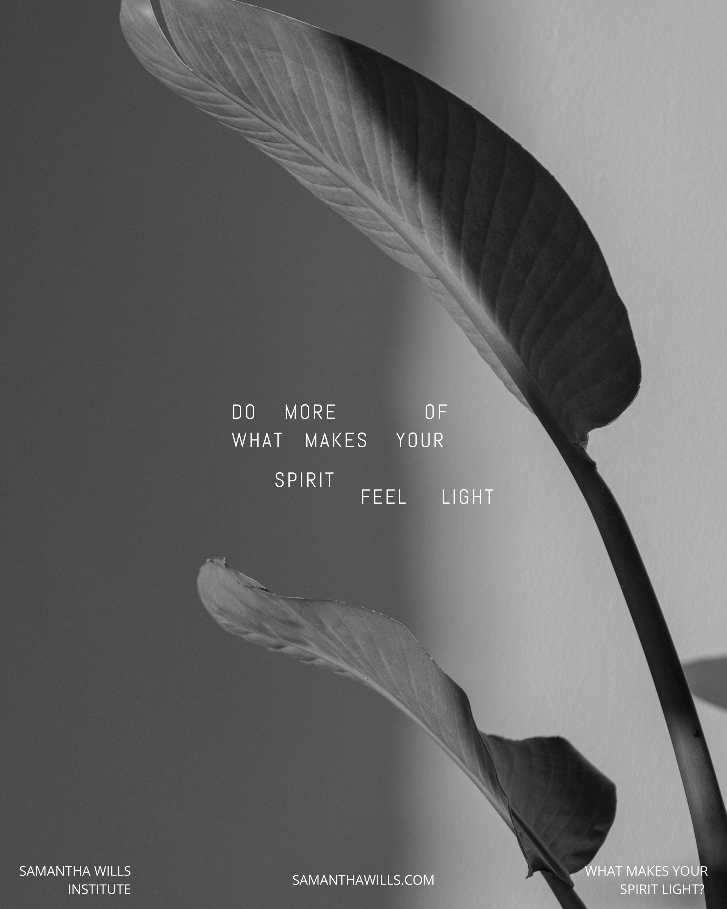 DO MORE OF WHAT MAKES YOUR SPIRIT FEEL LIGHT — SAMANTHAWILLS.COM