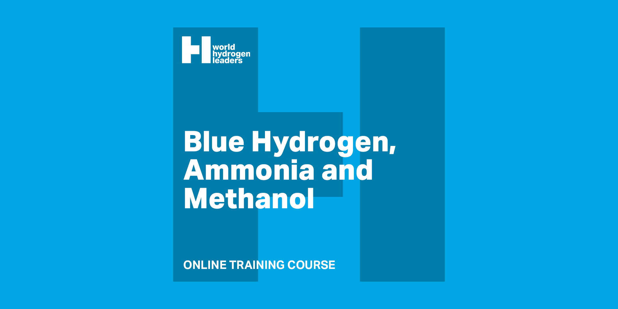 Blue Hydrogen, Ammonia and Methanol — World Hydrogen Leaders