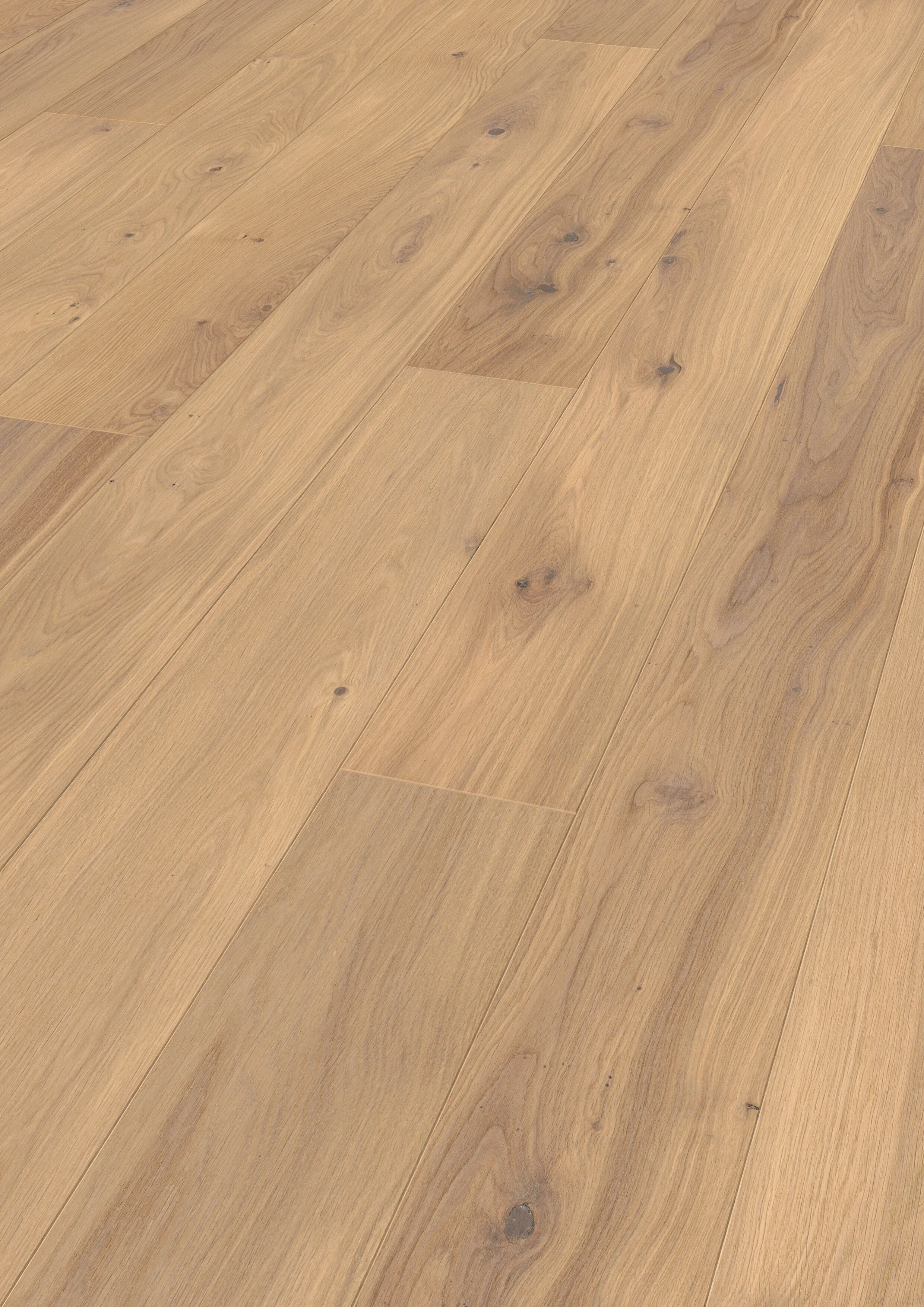 SAGA Premium Pearl Nature Oak — Gulv - Saga - Kronotex -Wicanders ...