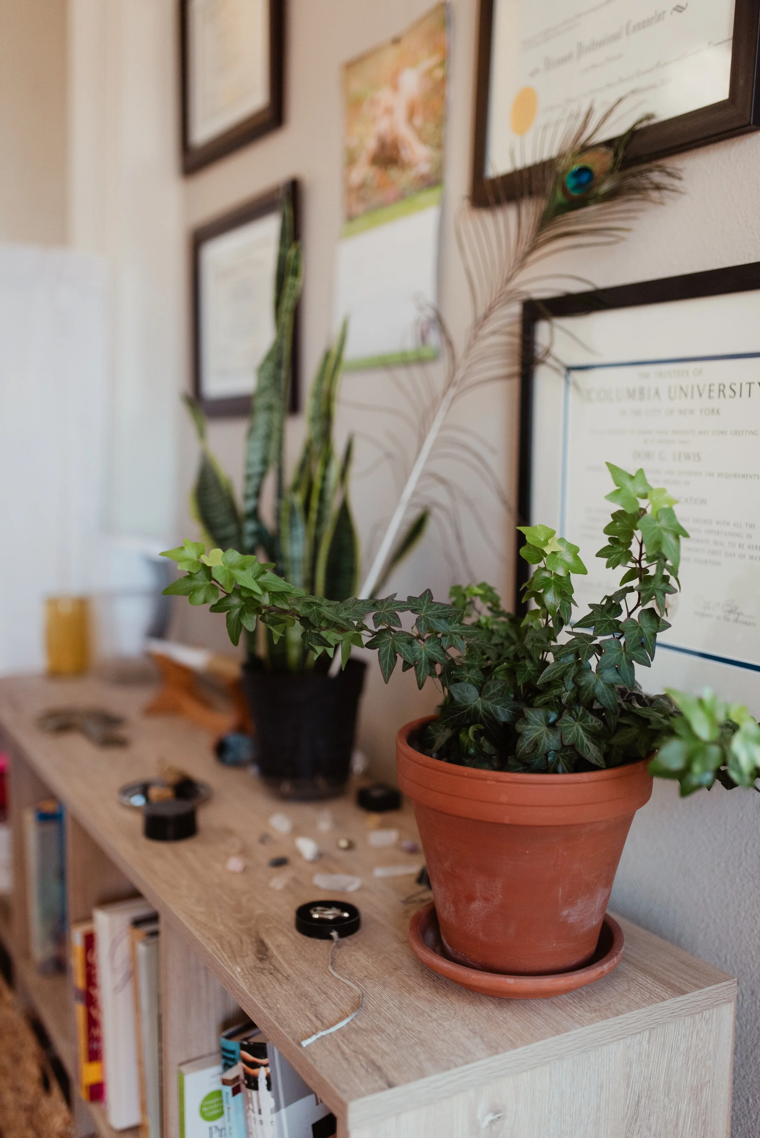 About — Reflective Healing