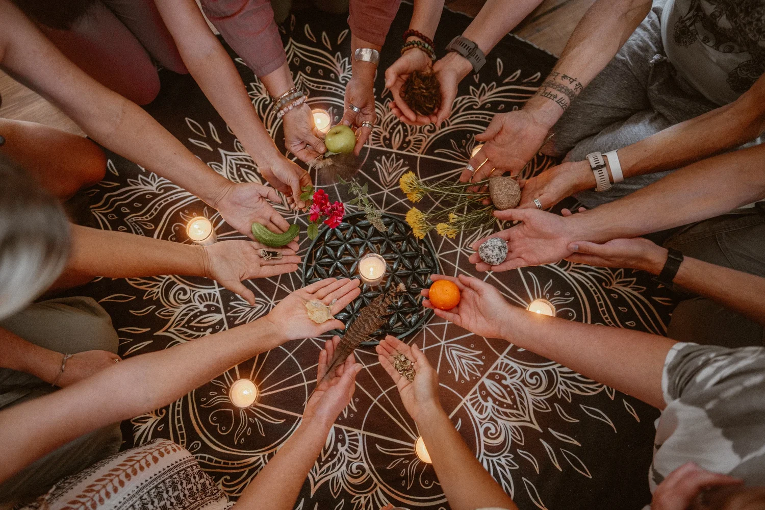 Reflective Healing — Fort Collins Integrative Holistic Counseling ...