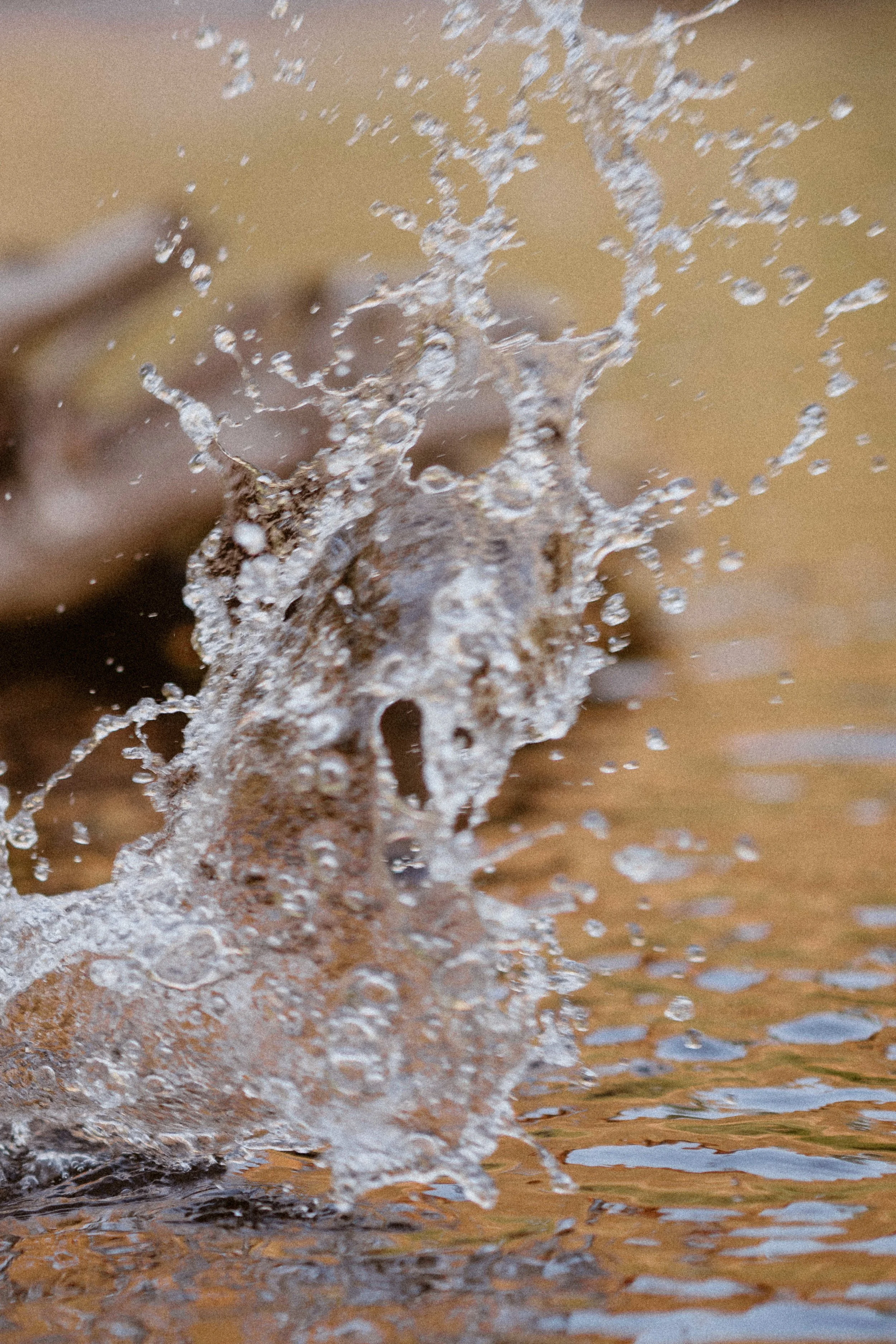 Psilocybin Assisted Therapy In Colorado | Understanding The Aftermath ...