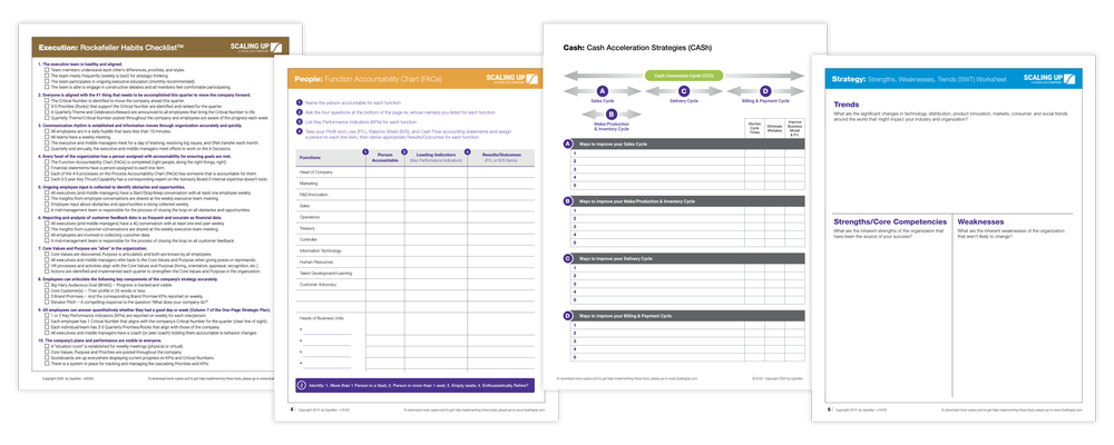 Scaling Up Coaches — Function Accountability Chart (FACe)