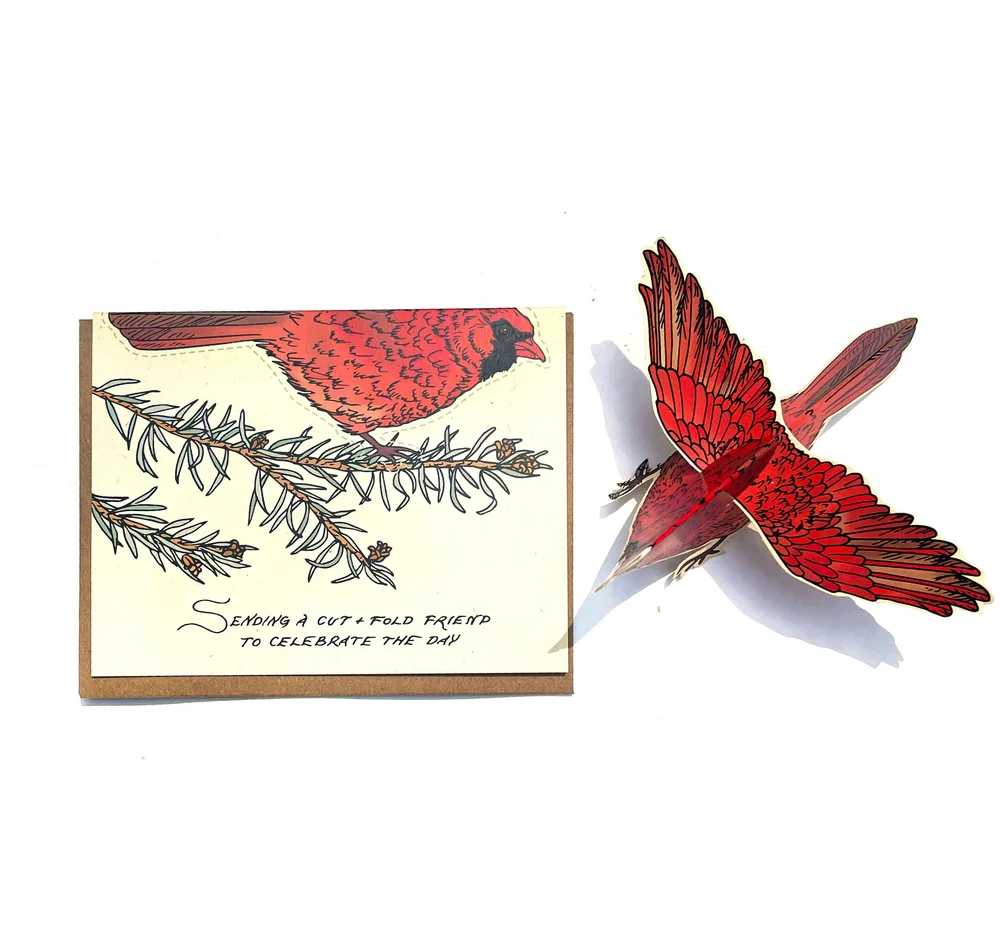 Greeting Cards — Shop — Wild Life