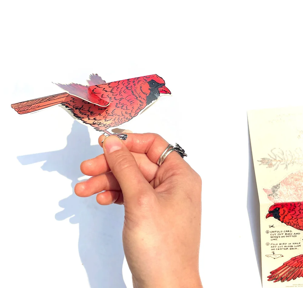 Greeting Cards — Shop — Wild Life