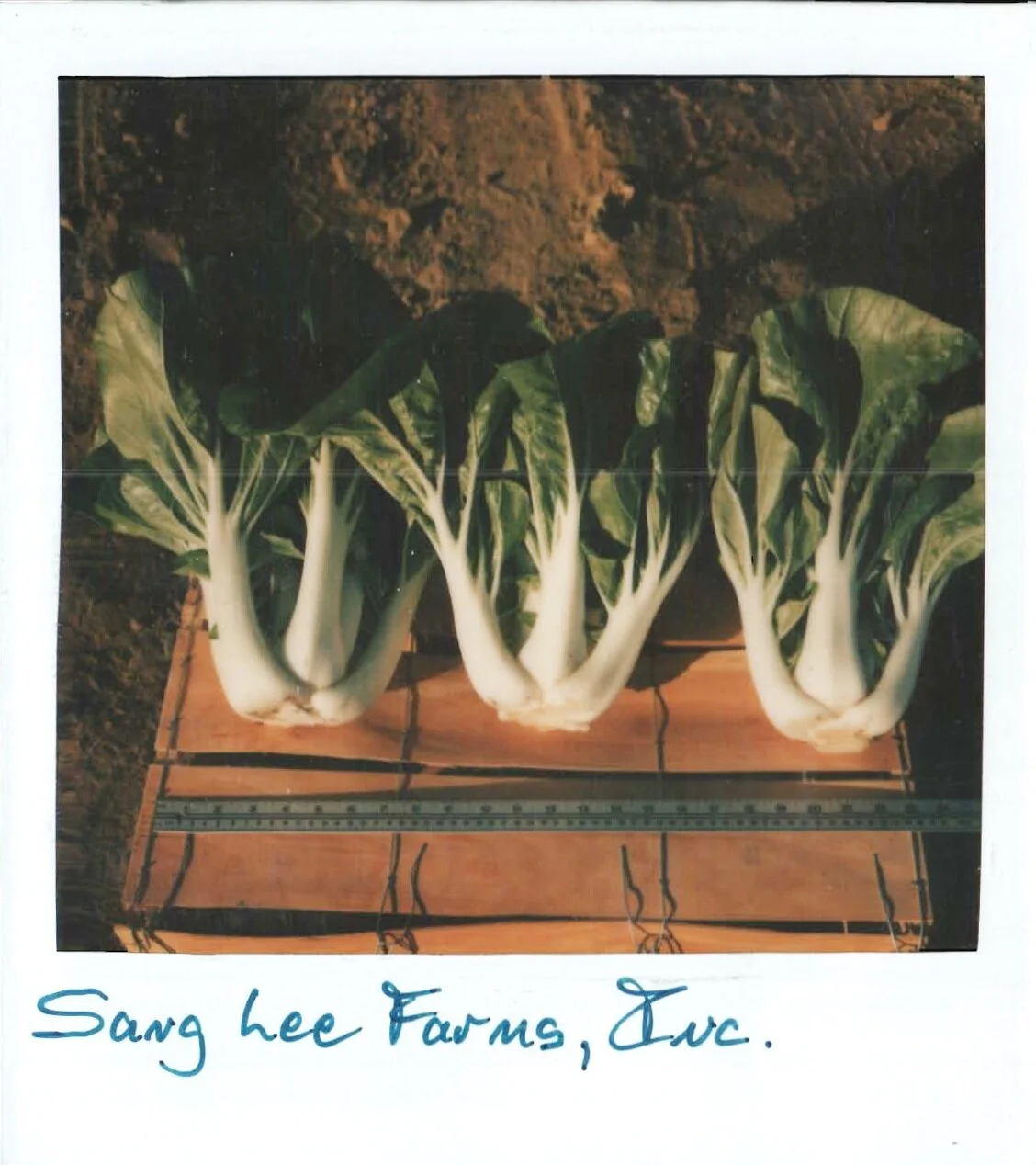 About — Sang Lee Farms