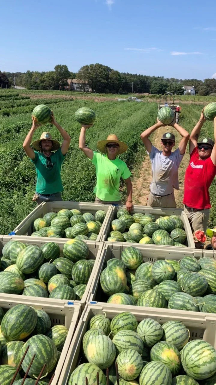 Sang Lee Farms