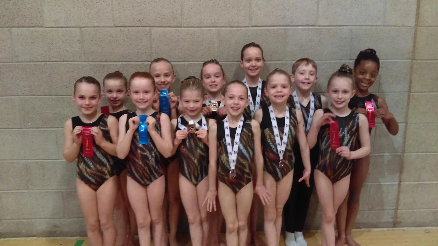 Gallery 2 — Tigers Gymnastics Centre