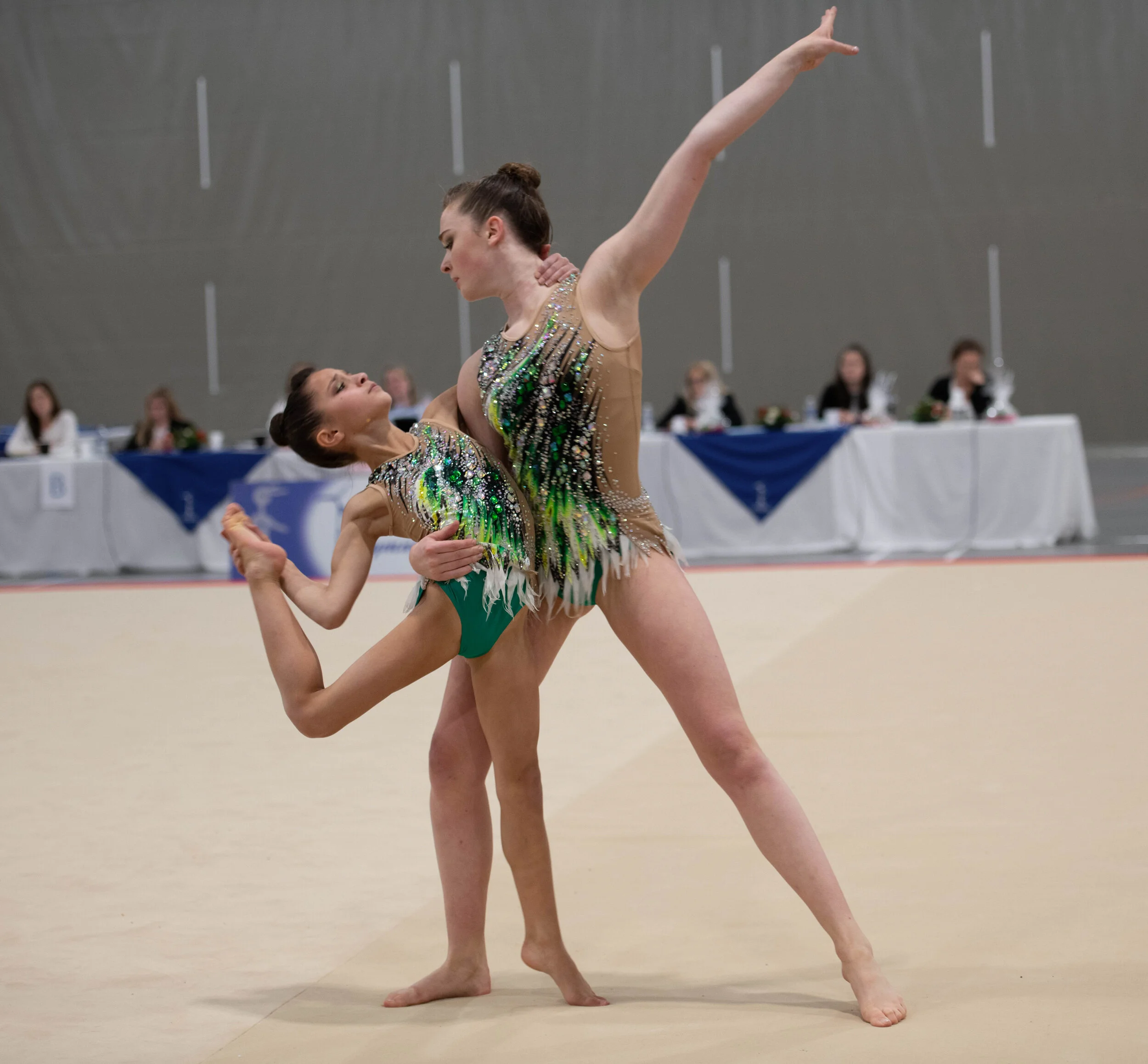 Tigers Gymnastics Centre