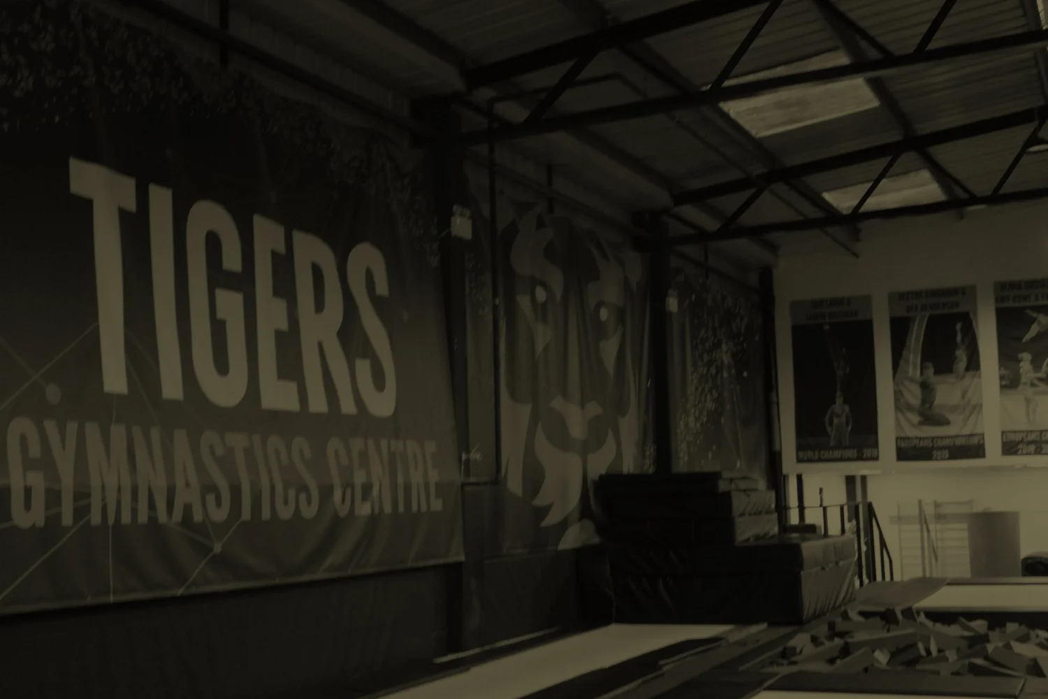 Tigers Gymnastics Centre - Tunbridge Wells, Kent