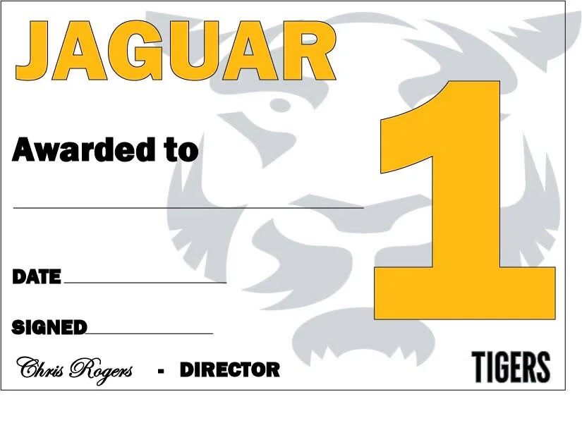 Tigers Badges — Tigers Gymnastics Centre
