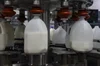 Richlands Dairy Farm