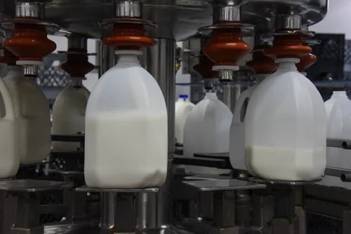 Richlands Dairy Farm