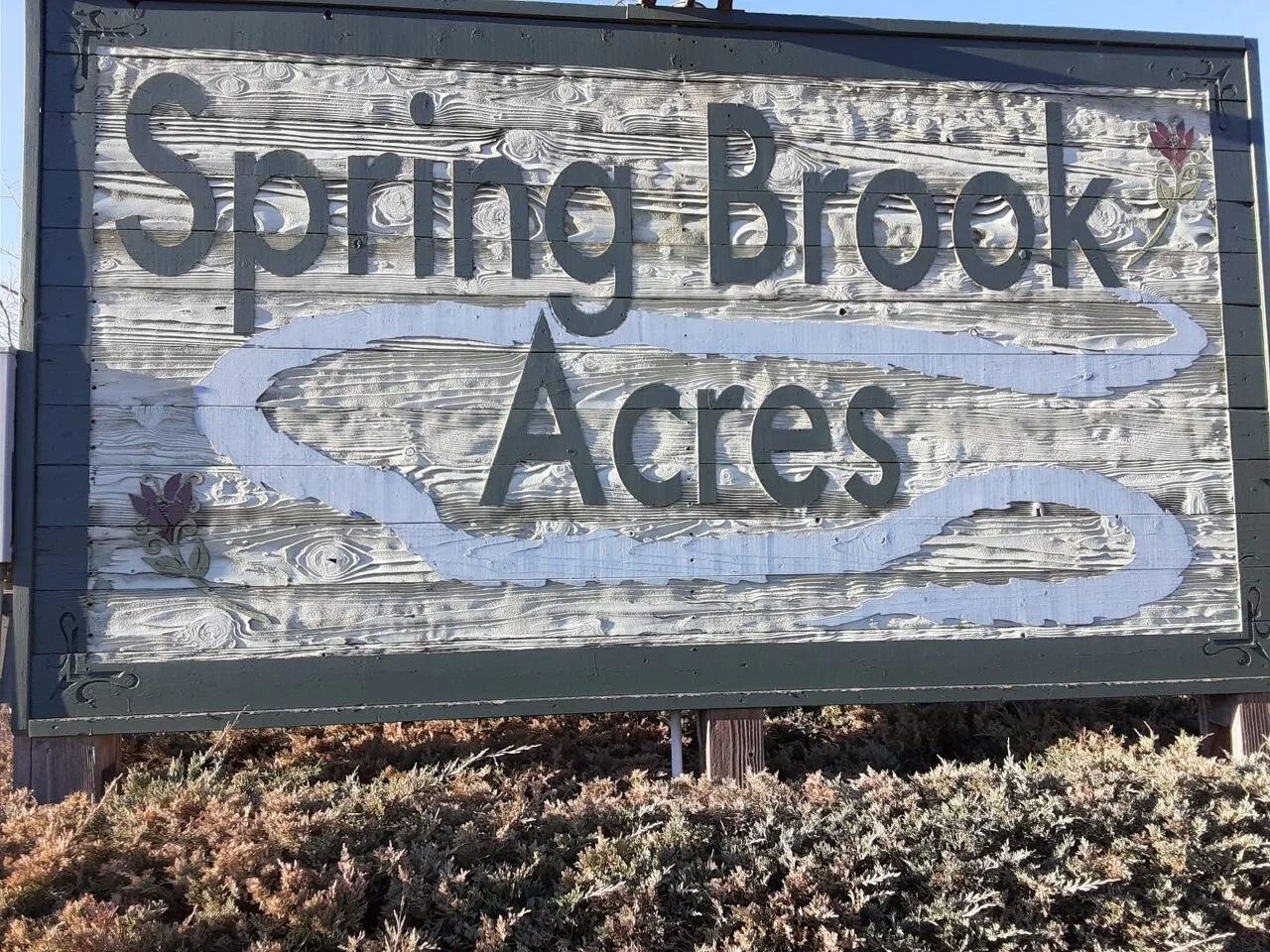 About Spring Brook — Springbrook Acres HOA