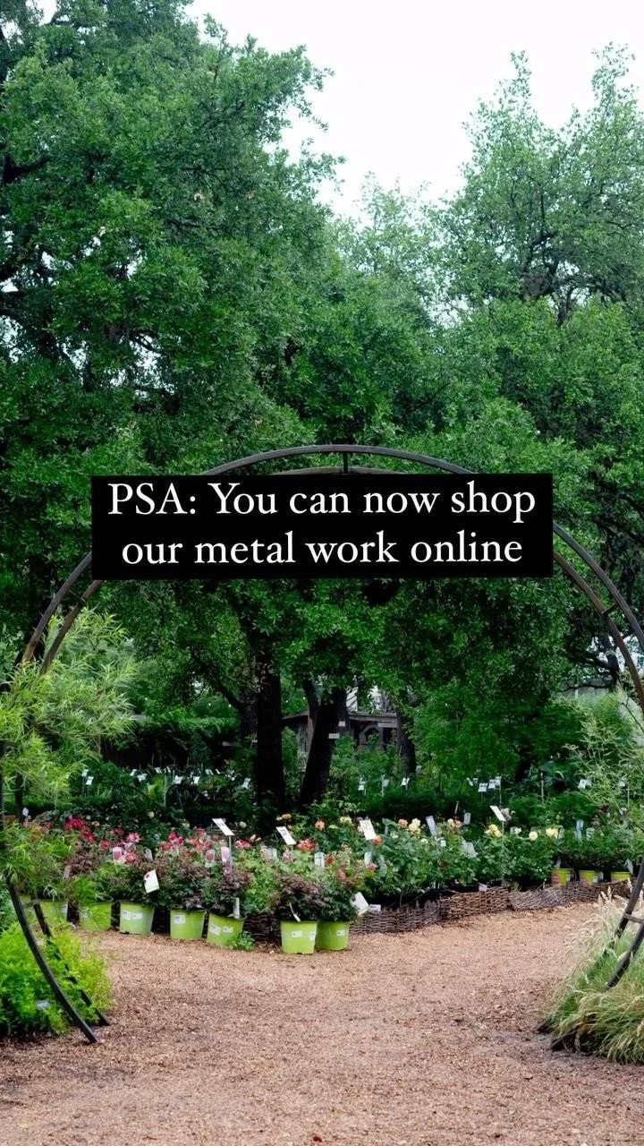 About — Mathis Designs