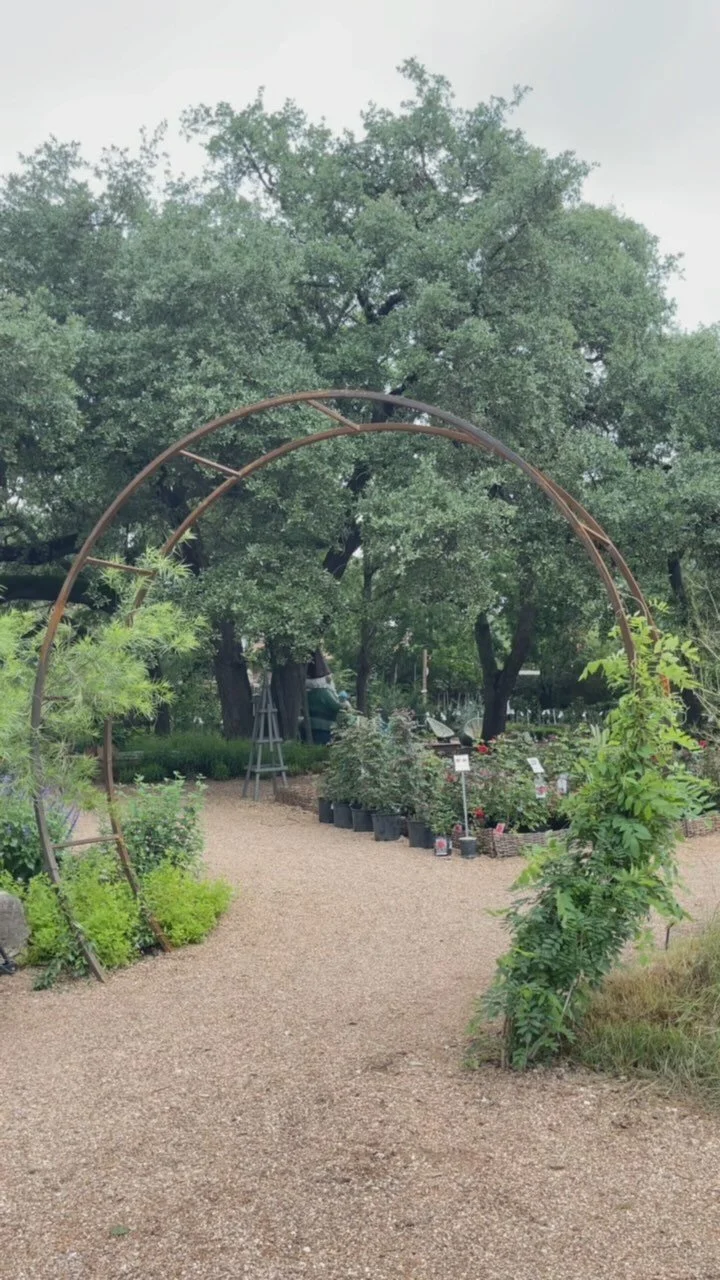 About — Mathis Designs